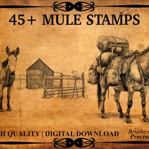 45 Mule Procreate Brush Stamps - Etsy