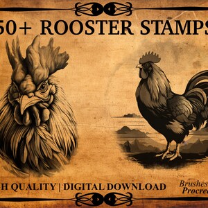 50 Rooster Procreate Brush Stamps - Etsy
