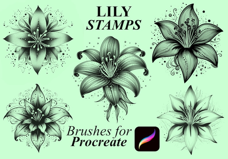 60+ Digital Lily Stamps for Procreate - Etsy