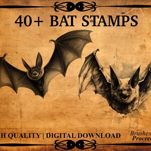 40+ Bat Procreate Brush Stamps - Etsy