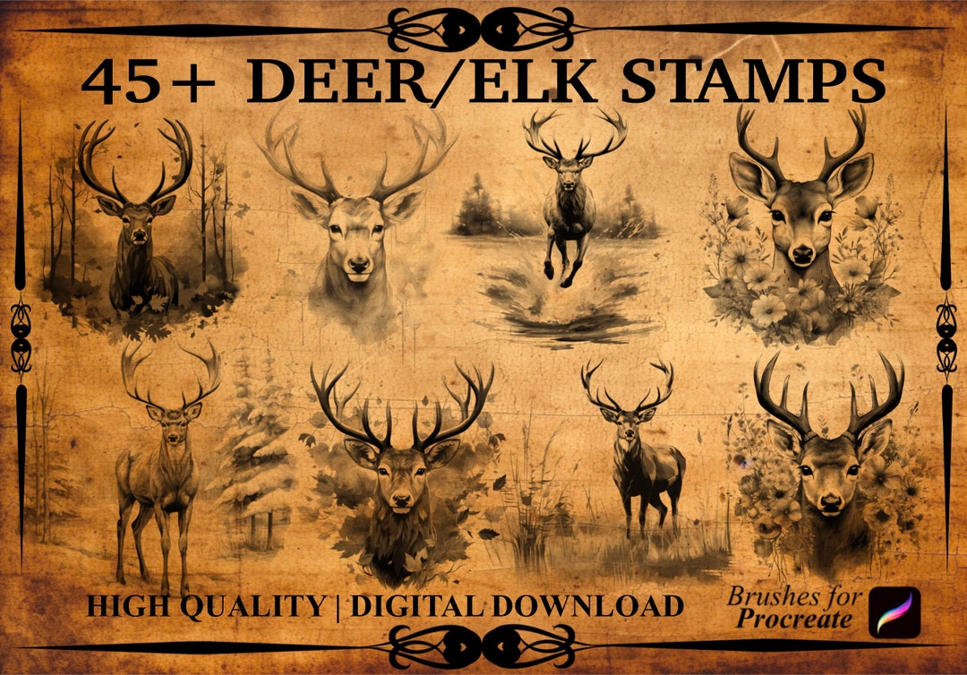 Deer & Elk Procreate Brush Stamps | 45+ Wildlife Designs (digital ...