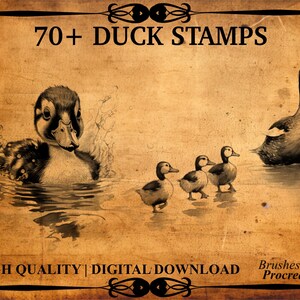 70+ Duck Procreate Brush Stamps - Etsy