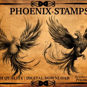 20+ Phoenix Procreate Brush Stamps - Etsy