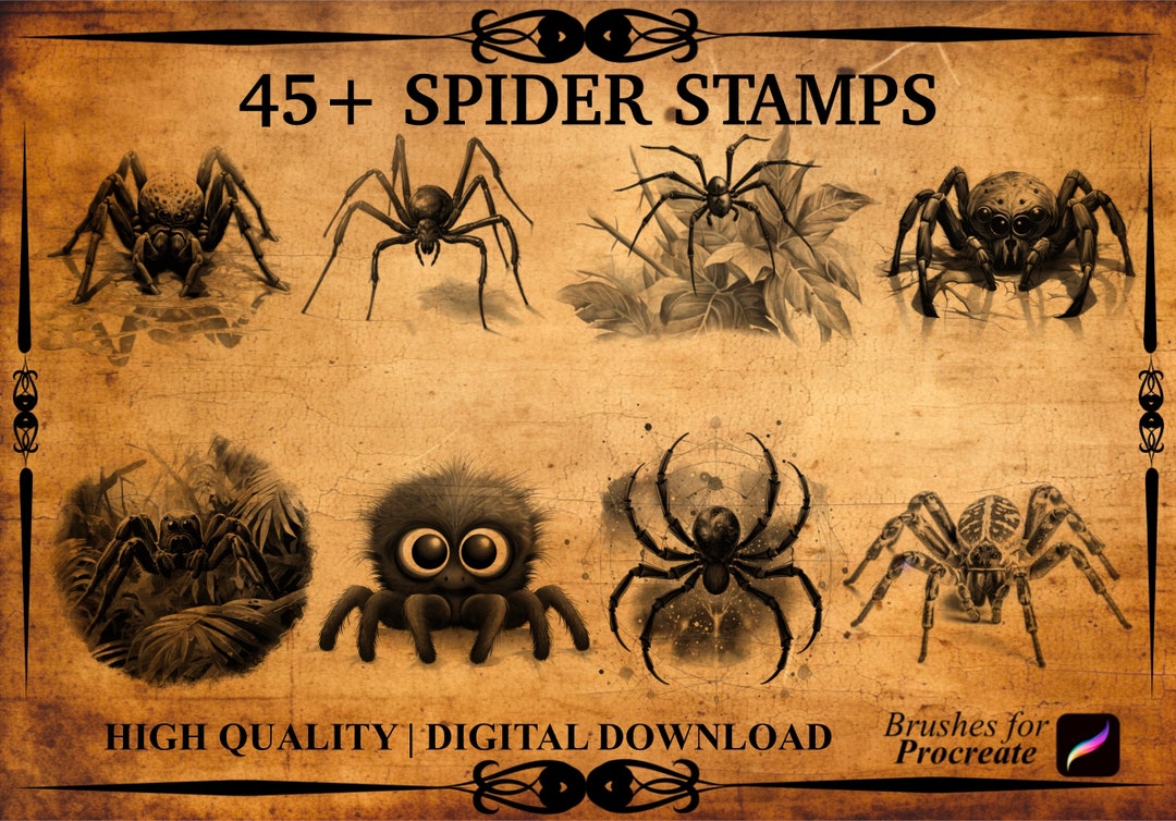 45+ Spider Procreate Brush Stamps - Etsy
