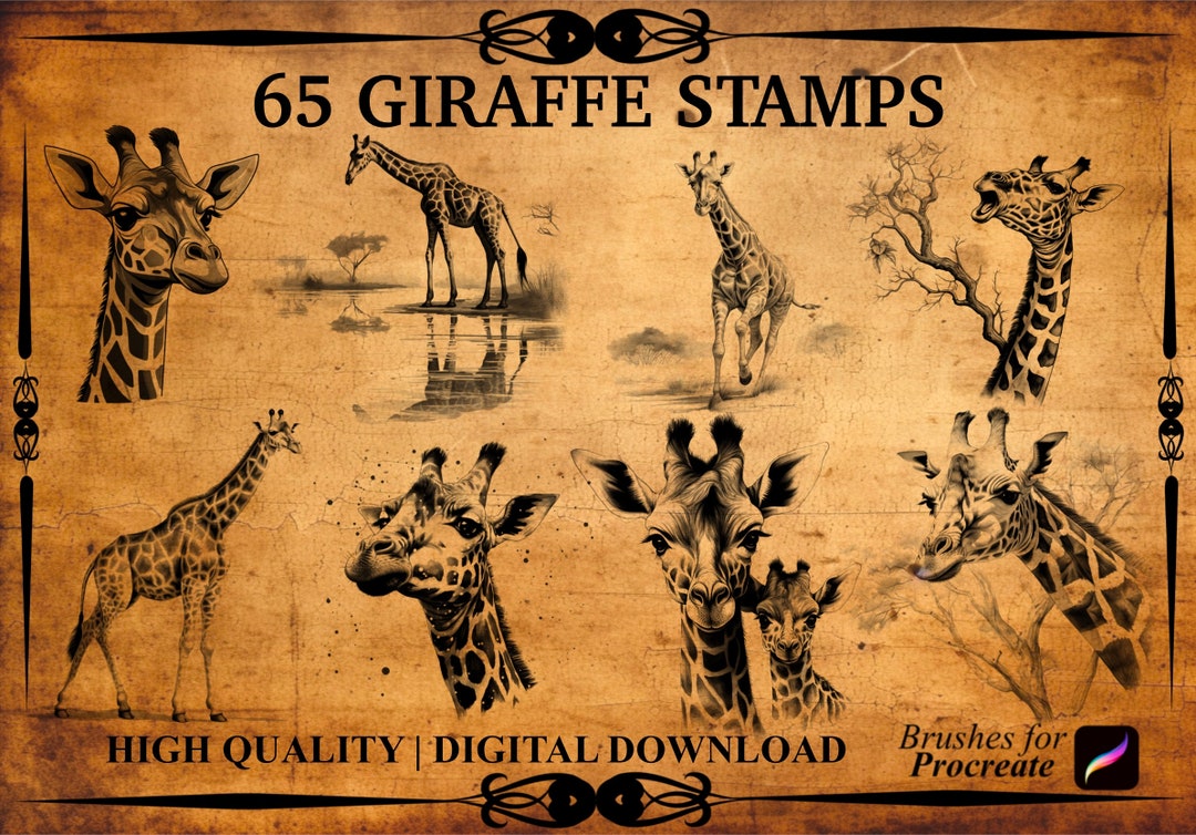 65 Giraffe Procreate Brush Stamps - Etsy