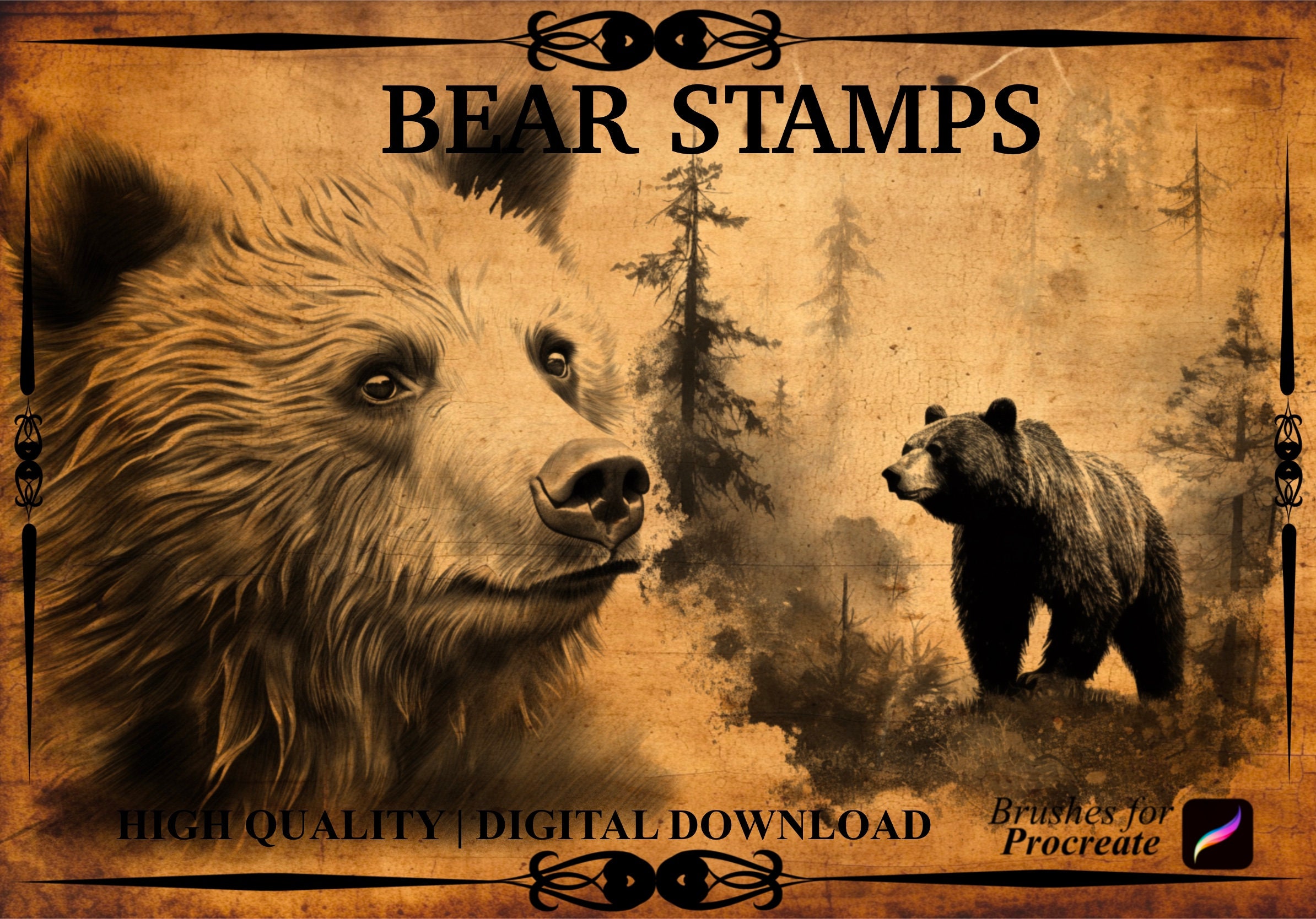 50 Bear Procreate Brush Stamps - Etsy