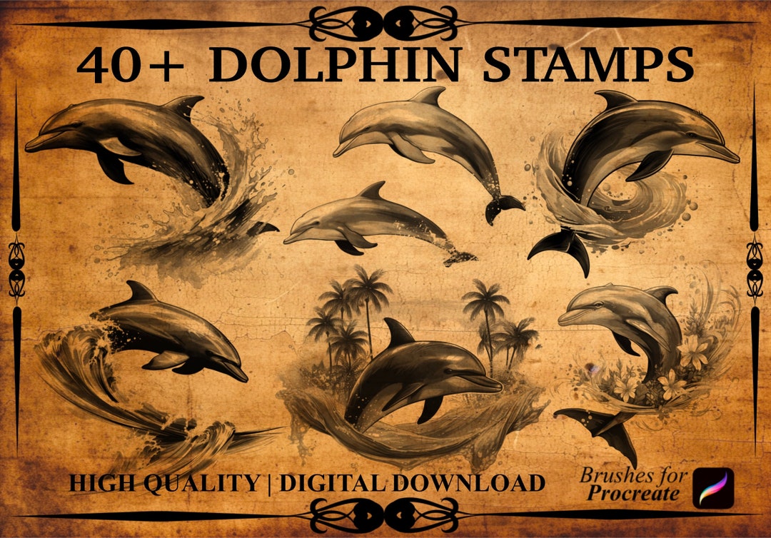 40+ Dolphin Procreate Brush Stamps - Etsy