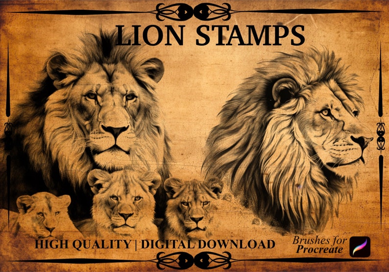 65+ Lion Procreate Brush Stamps - Etsy