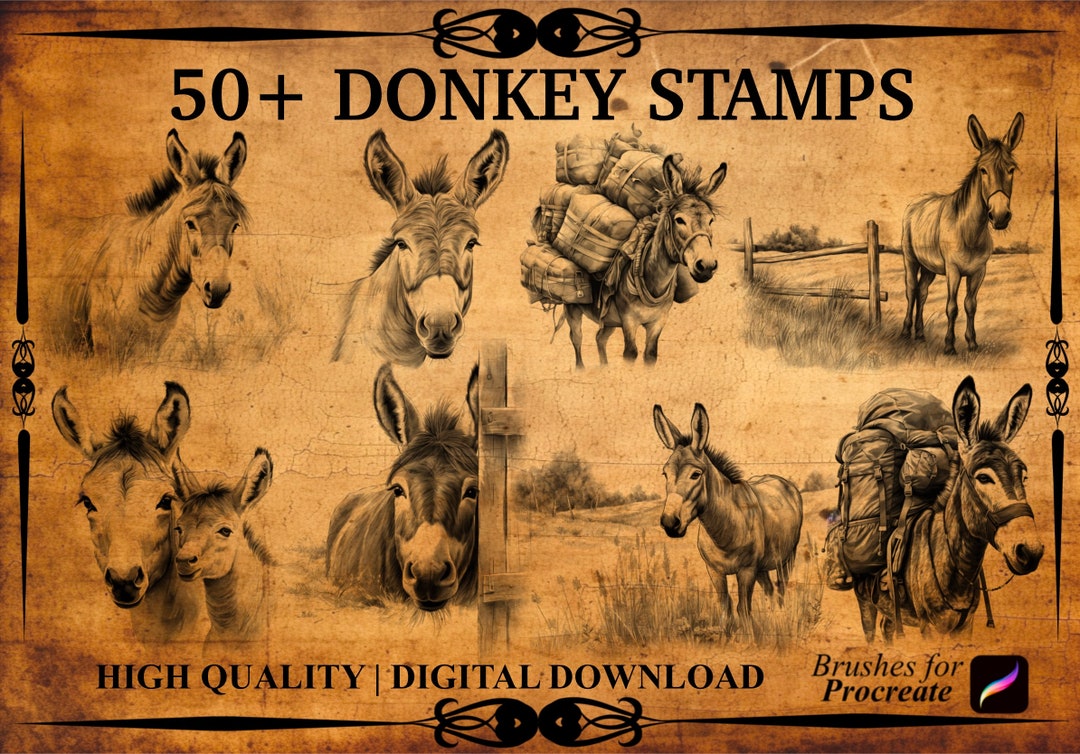 50+ Donkey Procreate Brush Stamps - Etsy