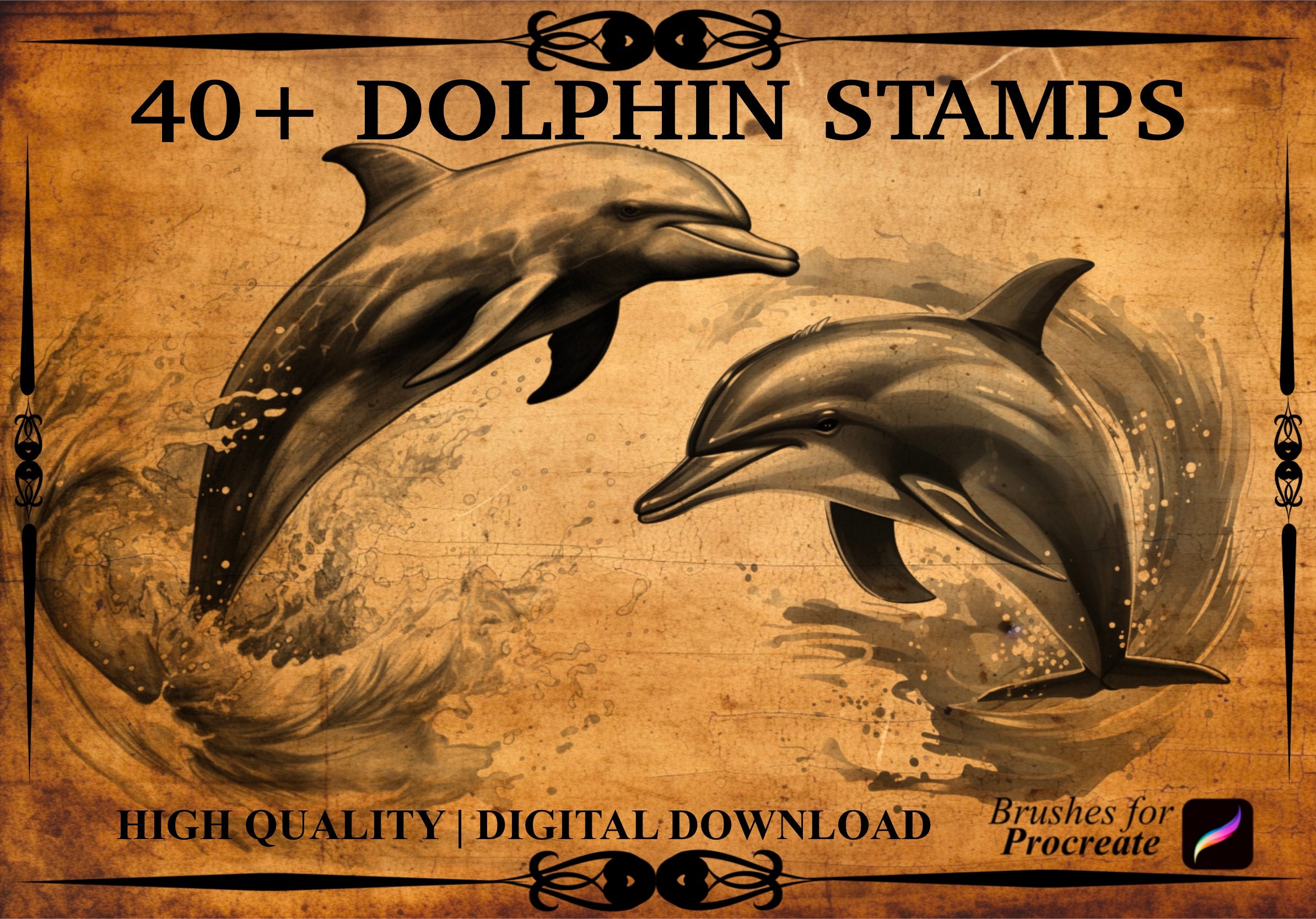 40 Dolphin Procreate Brush Stamps - Etsy