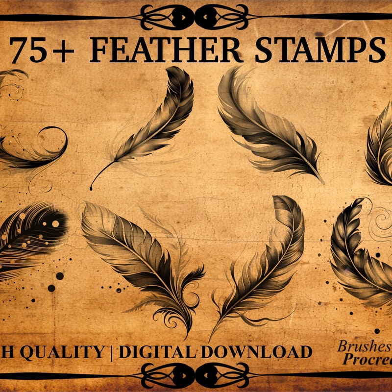 Feather Stamp - Etsy