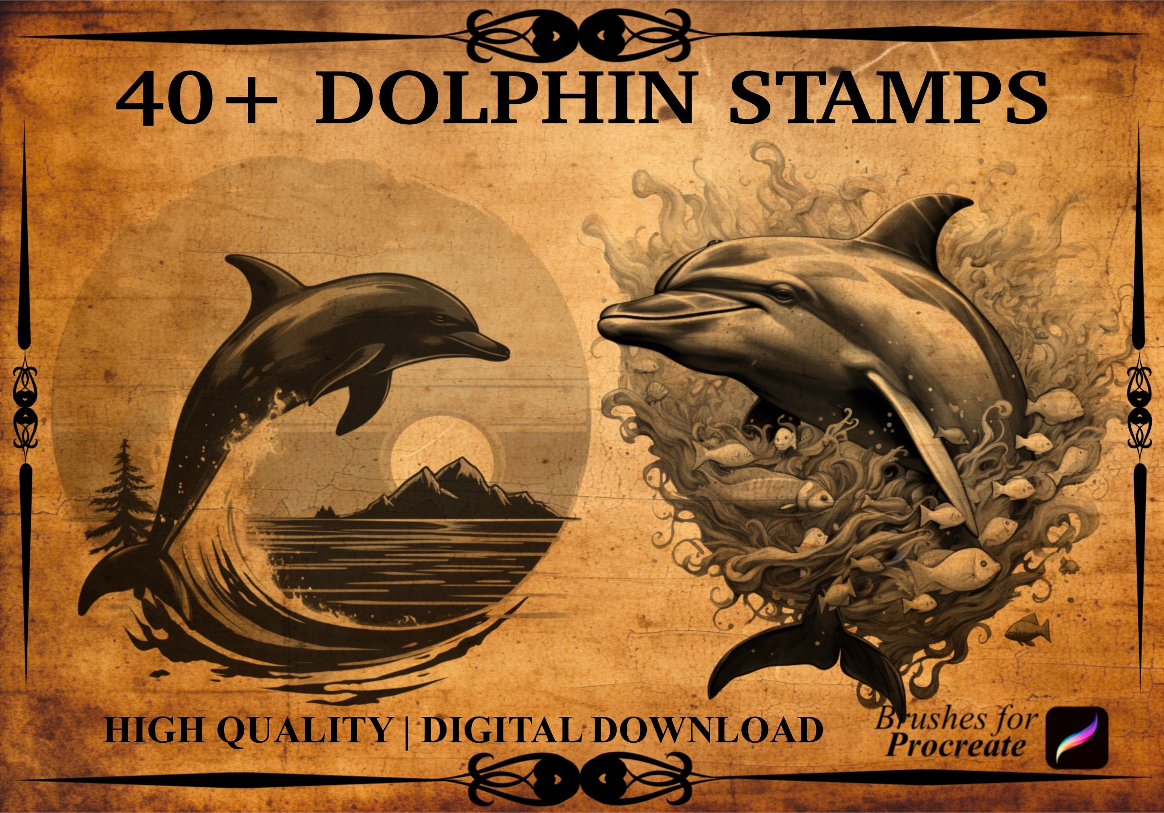 40 Dolphin Procreate Brush Stamps - Etsy