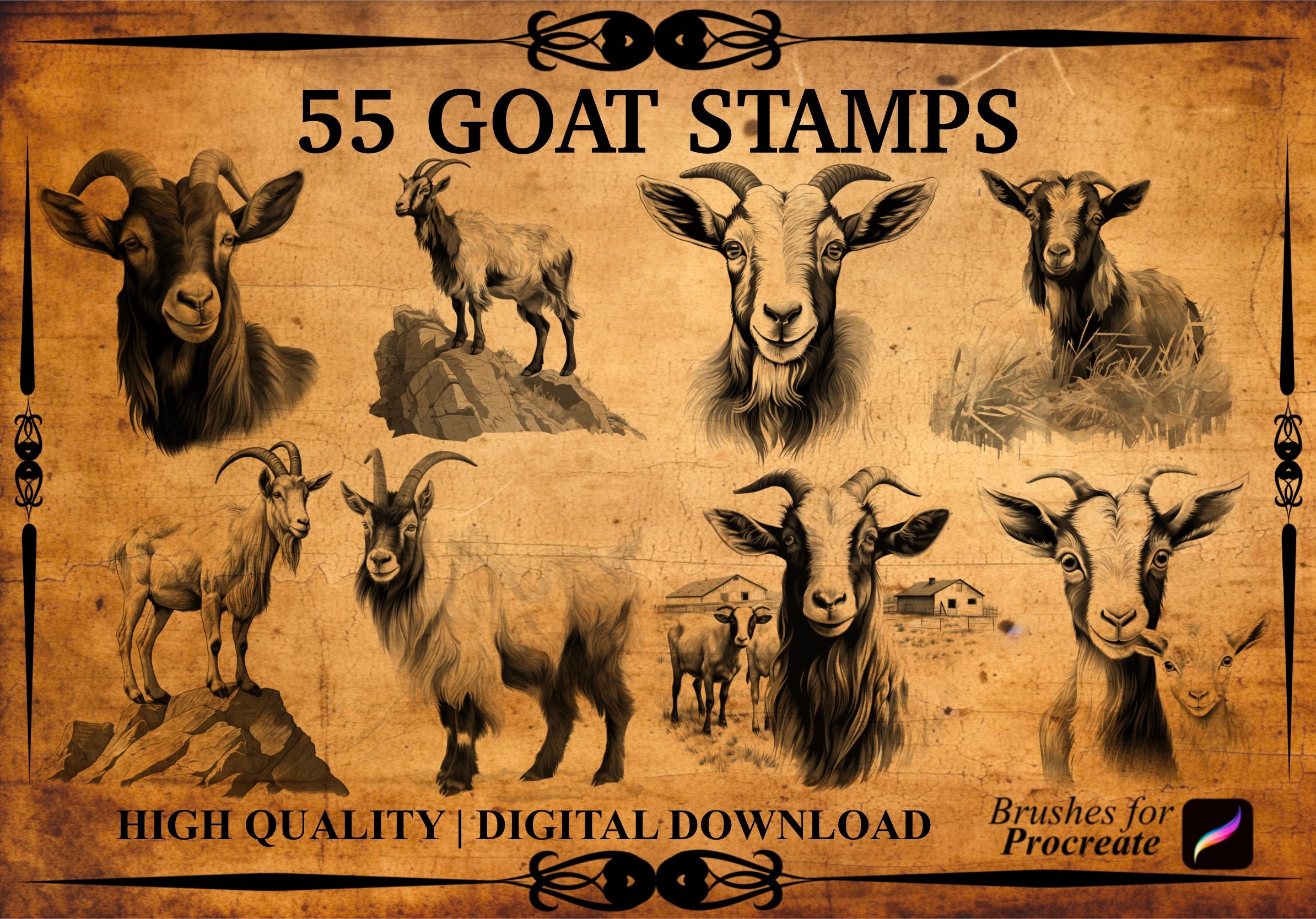 55 Goat Procreate Brush Stamps - Etsy
