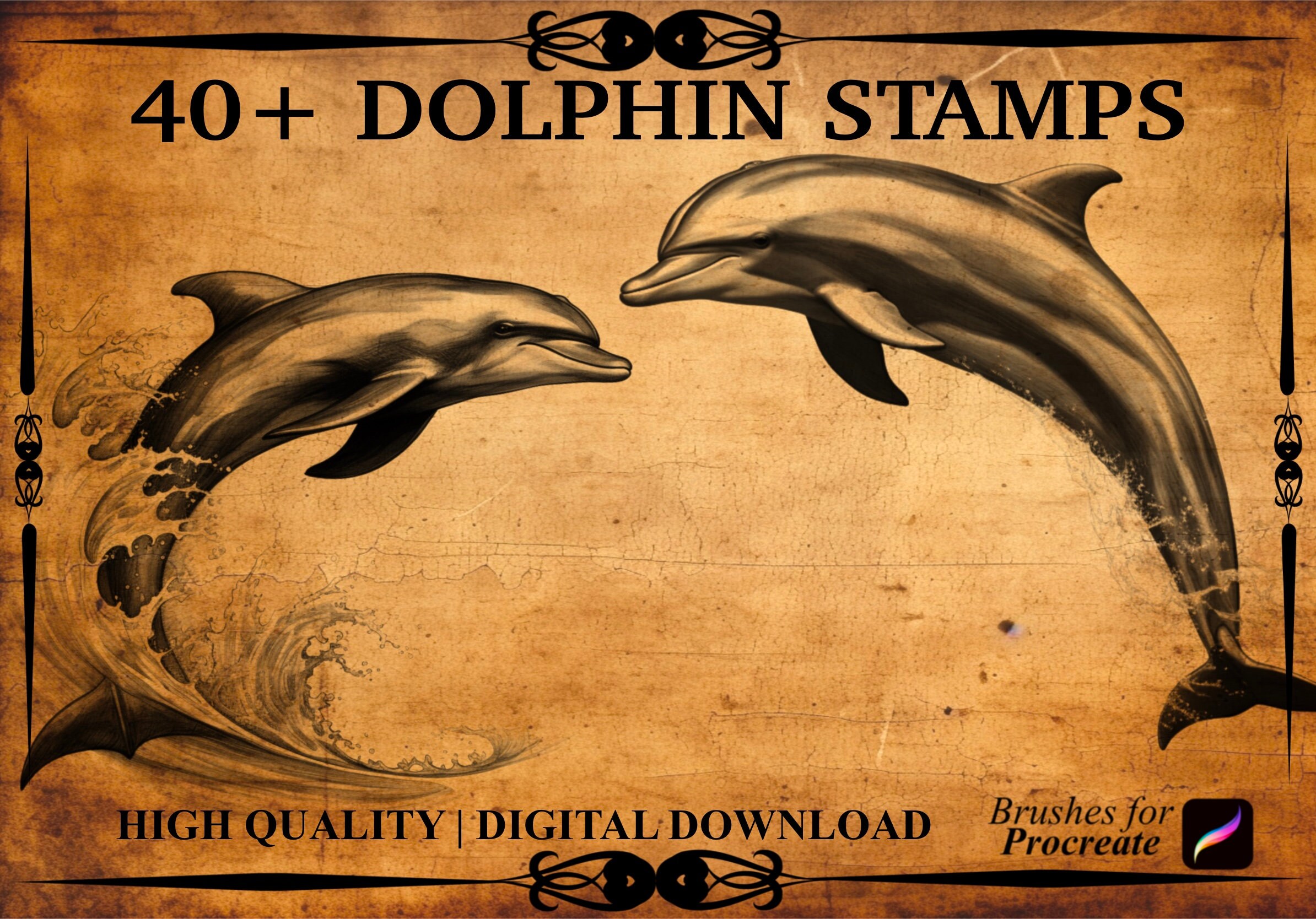 40 Dolphin Procreate Brush Stamps - Etsy