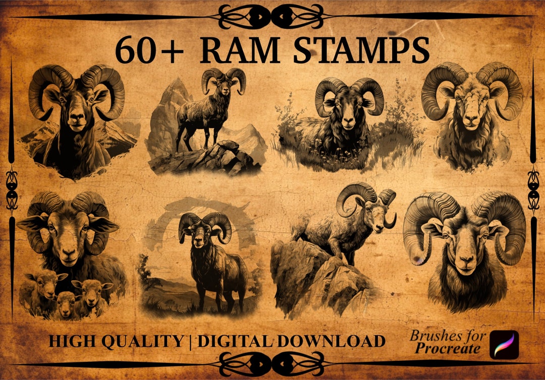 60+ Ram Procreate Brush Stamps - Etsy