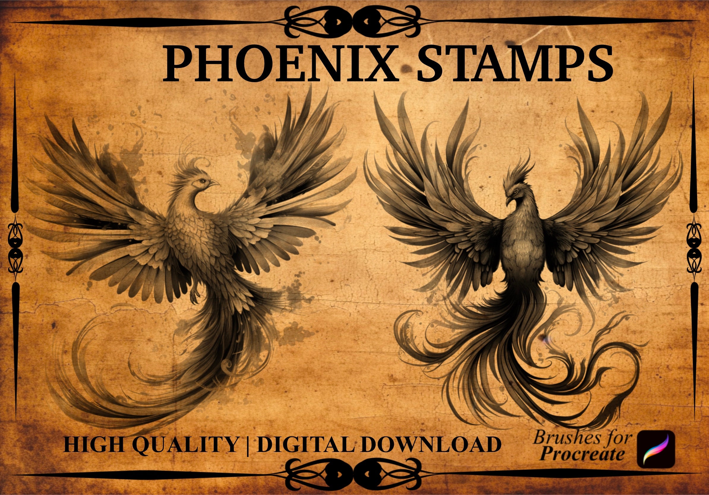 20 Phoenix Procreate Brush Stamps - Etsy
