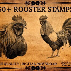 50 Rooster Procreate Brush Stamps - Etsy