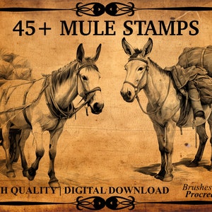 45 Mule Procreate Brush Stamps - Etsy