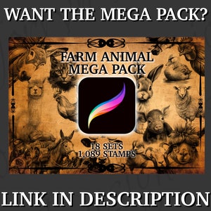 45+ Mule Procreate Brush Stamps - Etsy