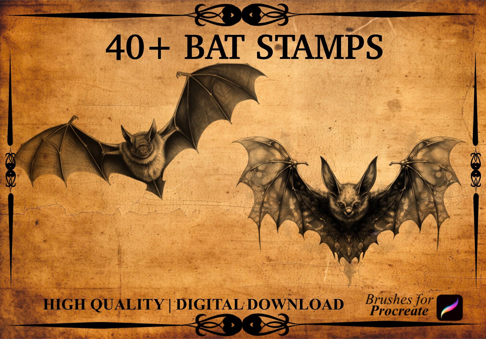 40+ Bat Procreate Brush Stamps - Etsy