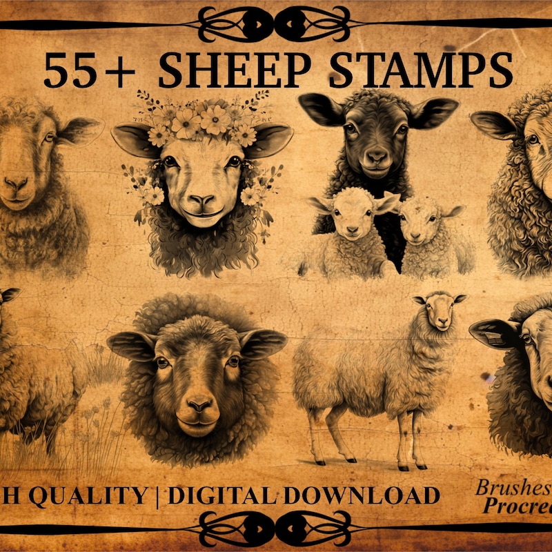 Sheep Stamp - Etsy