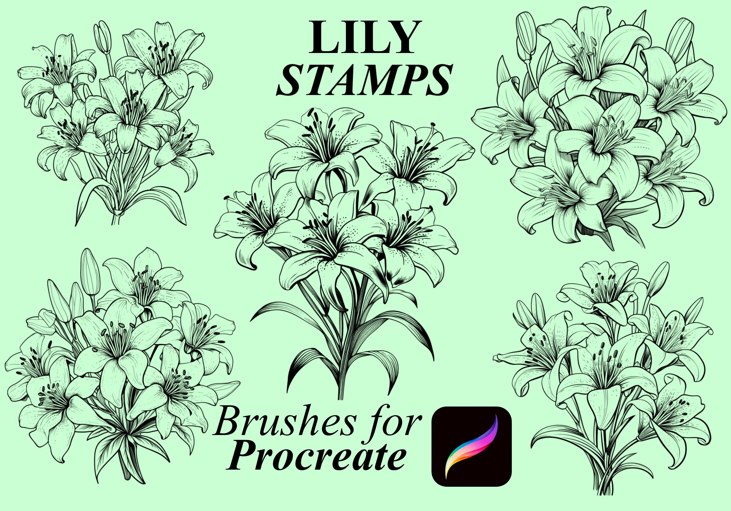 60+ Digital Lily Stamps for Procreate - Etsy