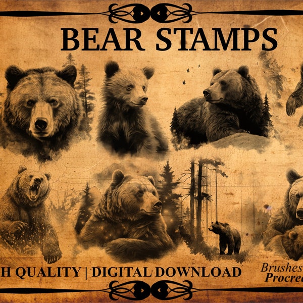 Stamp Bear - Etsy