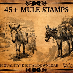 45 Mule Procreate Brush Stamps - Etsy