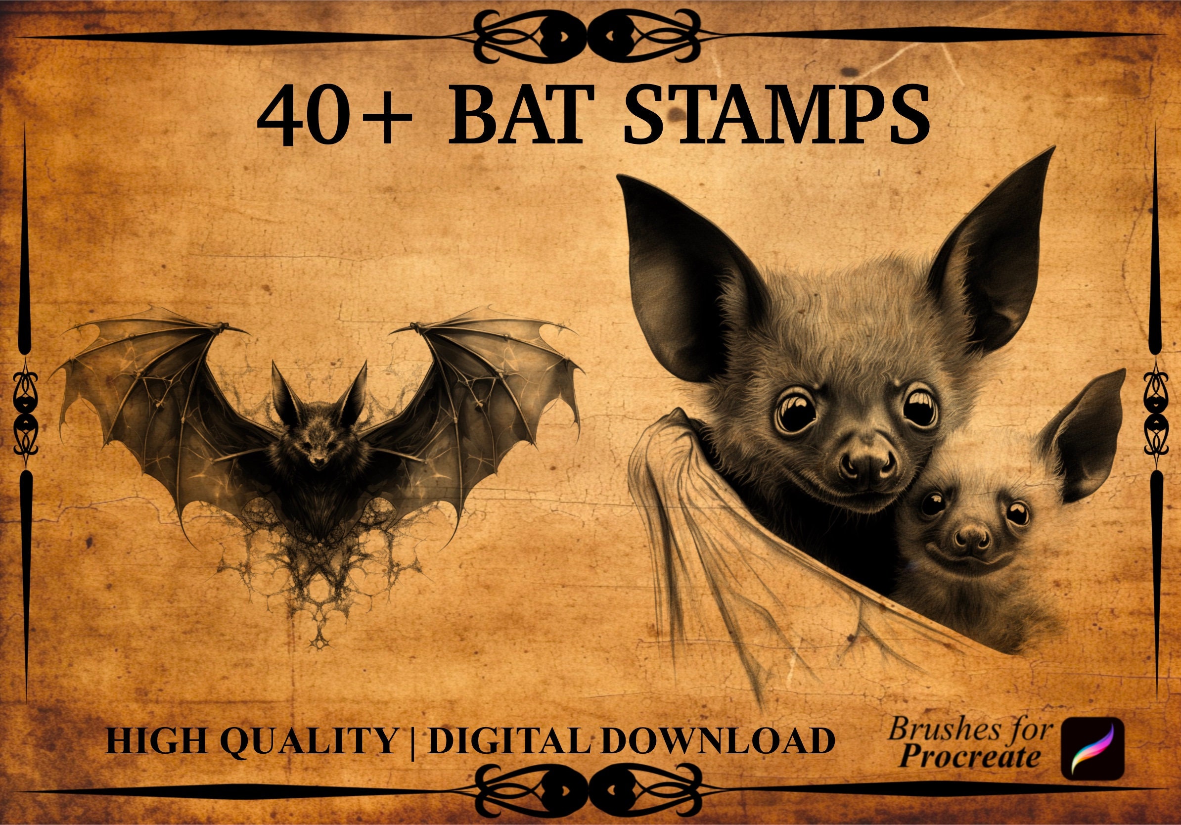 40 Bat Procreate Brush Stamps - Etsy