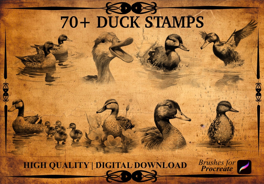 70+ Duck Procreate Brush Stamps - Etsy
