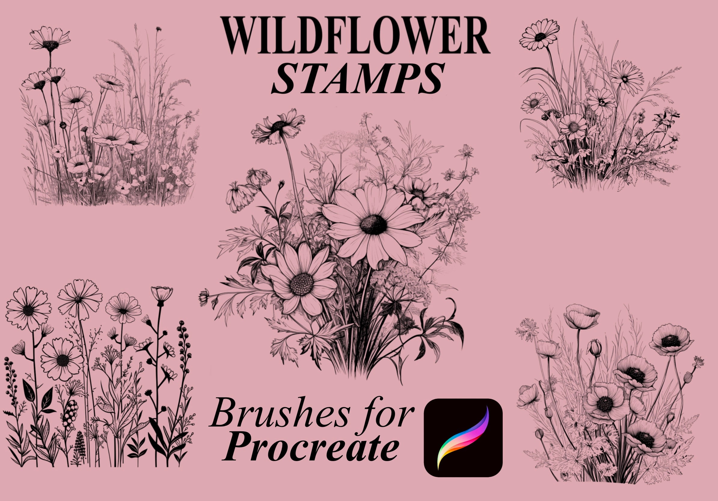 55+ Digital Wildflower Stamps for Procreate - Etsy