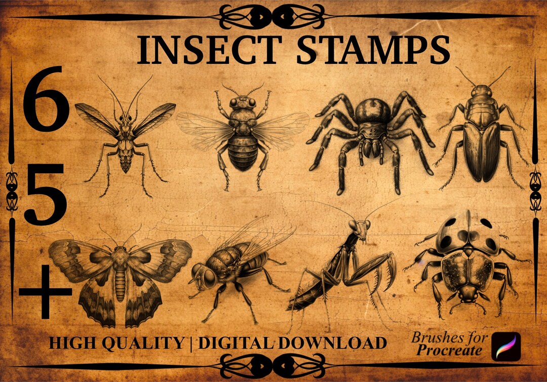 65+ Insect Procreate Brush Stamps | Bug Stamps - Etsy