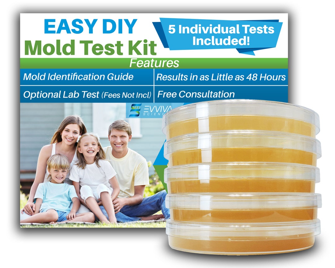 5 Simple Mold Detection Tests - Optional Lab Analysis - Test HVAC ...