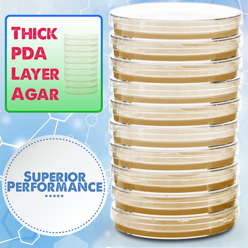Potato Dextrose Agar Plates Evviva Sciences Prepoured Potato Dextrose ...