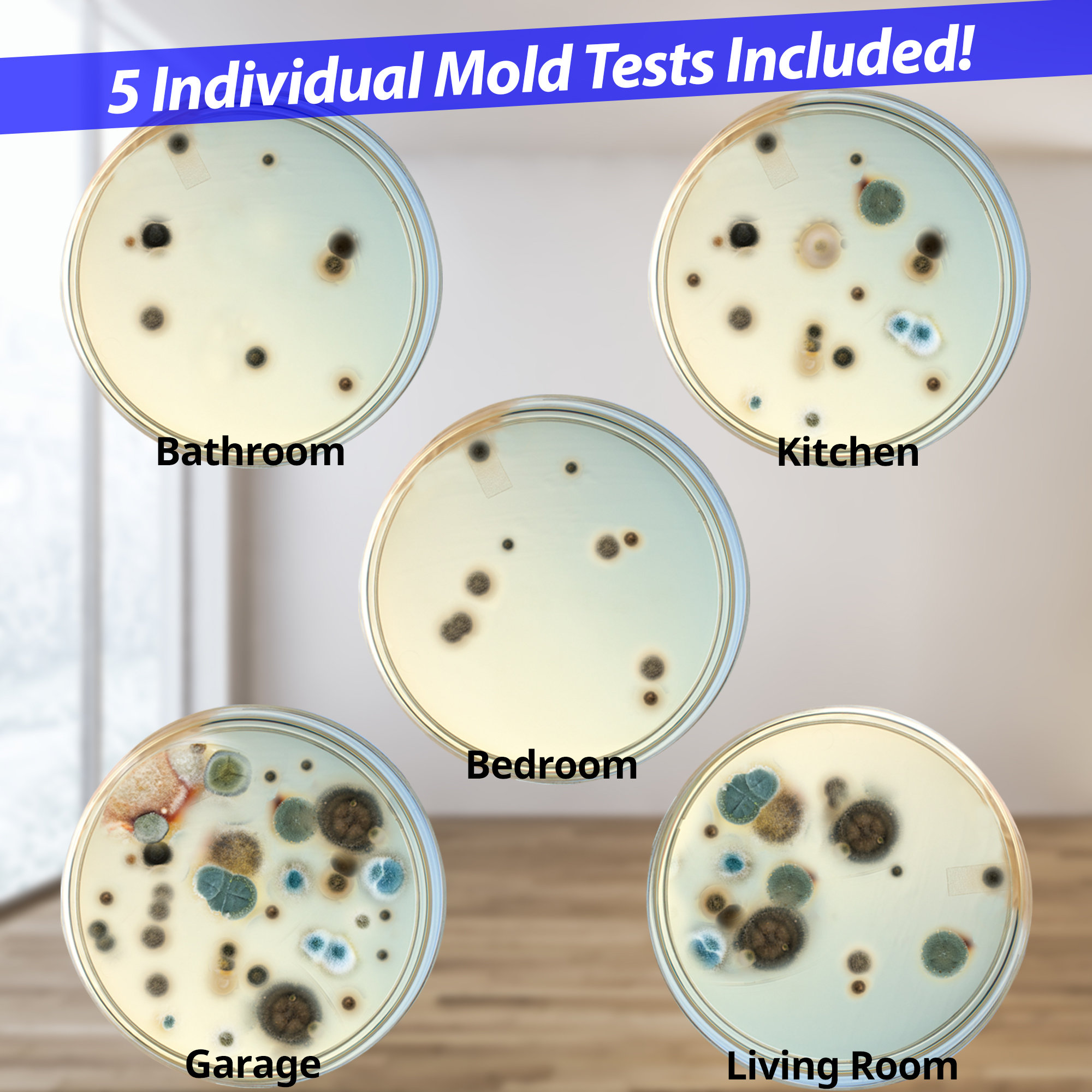 5 Simple Mold Detection Tests - Optional Lab Analysis - Test HVAC ...