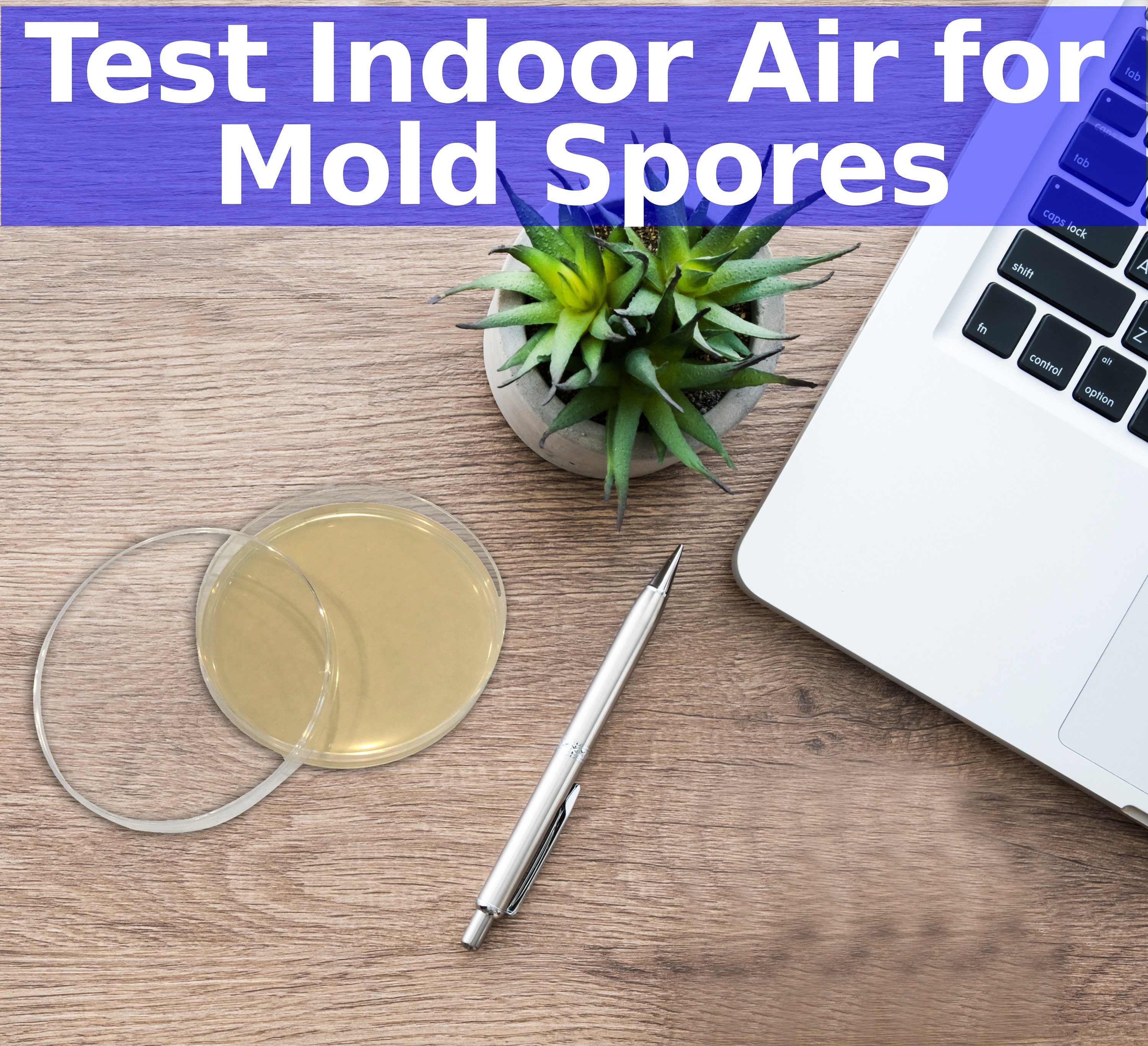 5 Simple Mold Detection Tests - Optional Lab Analysis - Test HVAC ...