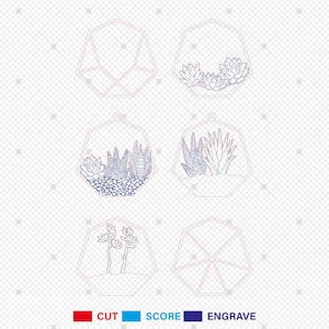 3D Multilayer Succulents Terrarium Art Svg, Succulent Plants Svg ...