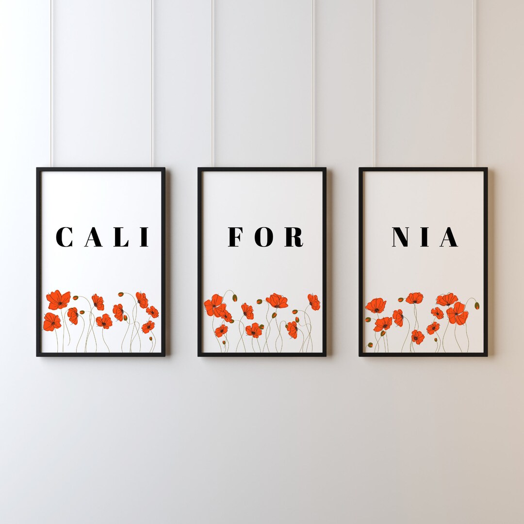 California Poppy Poster Office Wall Art Minimalist - Etsy