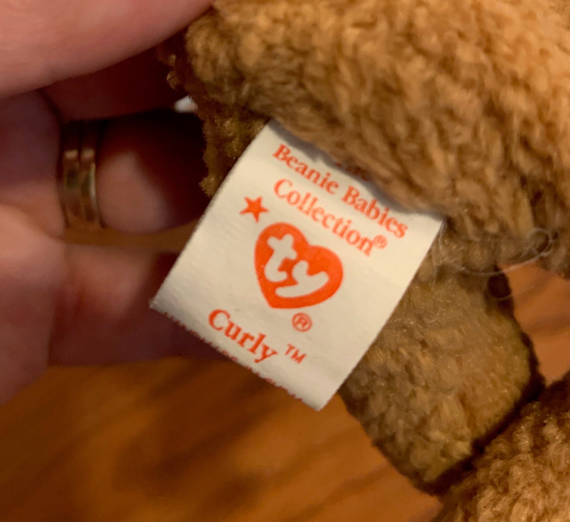 Curly beanie baby errors store