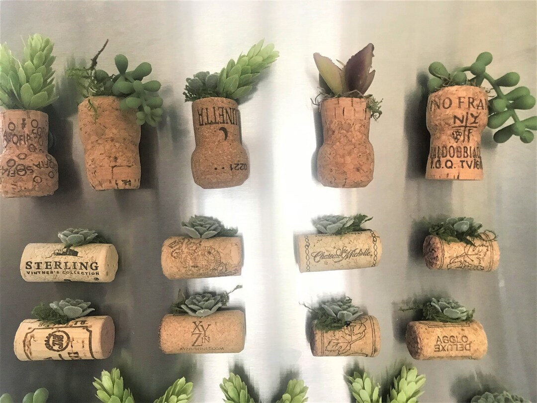 Wine Cork Faux Succulent Magnet Sets, Rustic Plant Magnets, Flower ...