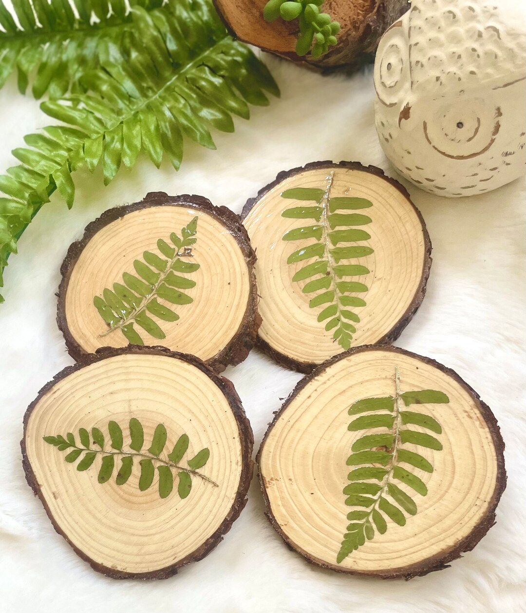 Wooden Botanical Coaster Set, Wood Slice Fern Coasters, Floral Boho ...