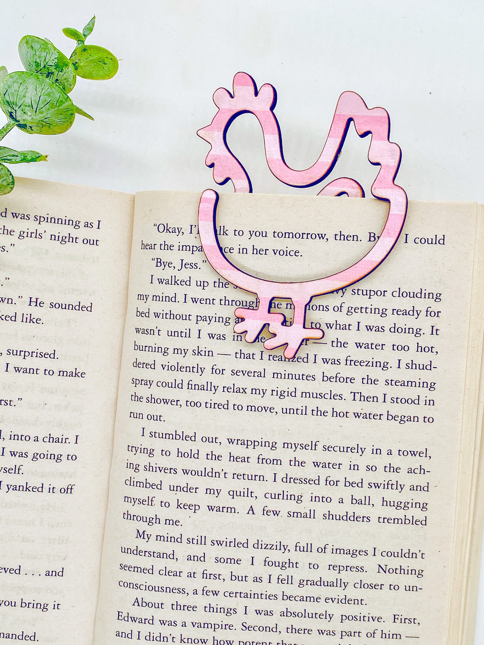 3 Pack Wooden Chicken Bookmark, Teacher Gift, Laser Cut - Etsy