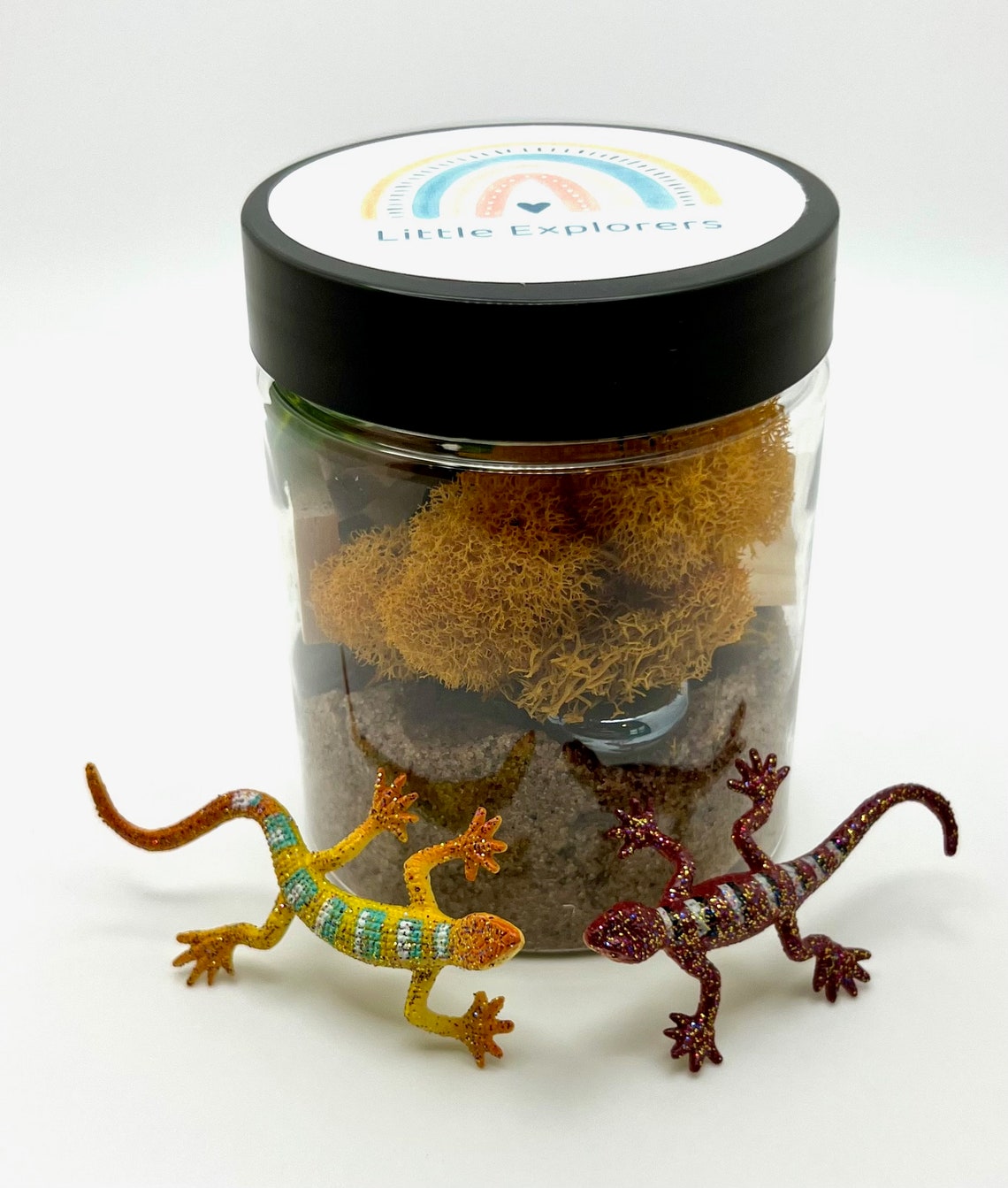 Reptile Sensory Bin Lizard Sensory Kit Kids Sensory Toys Kinetic Sand ...