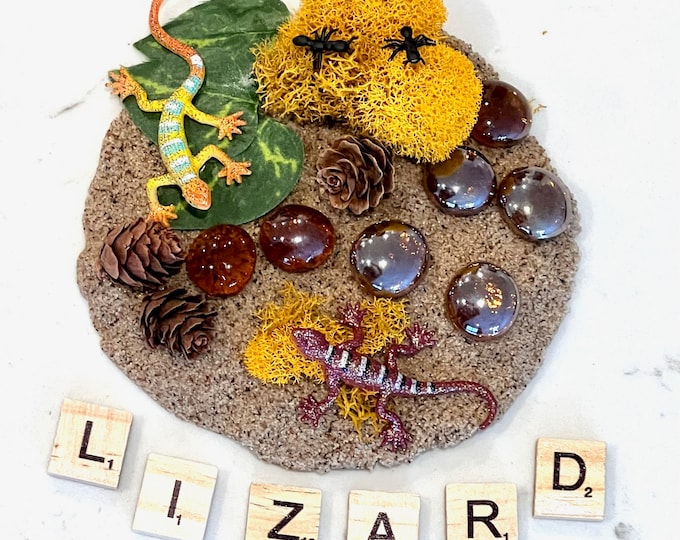 Reptile Sensory Bin | Lizard Sensory Kit | Kids Sensory Toys | Kinetic ...