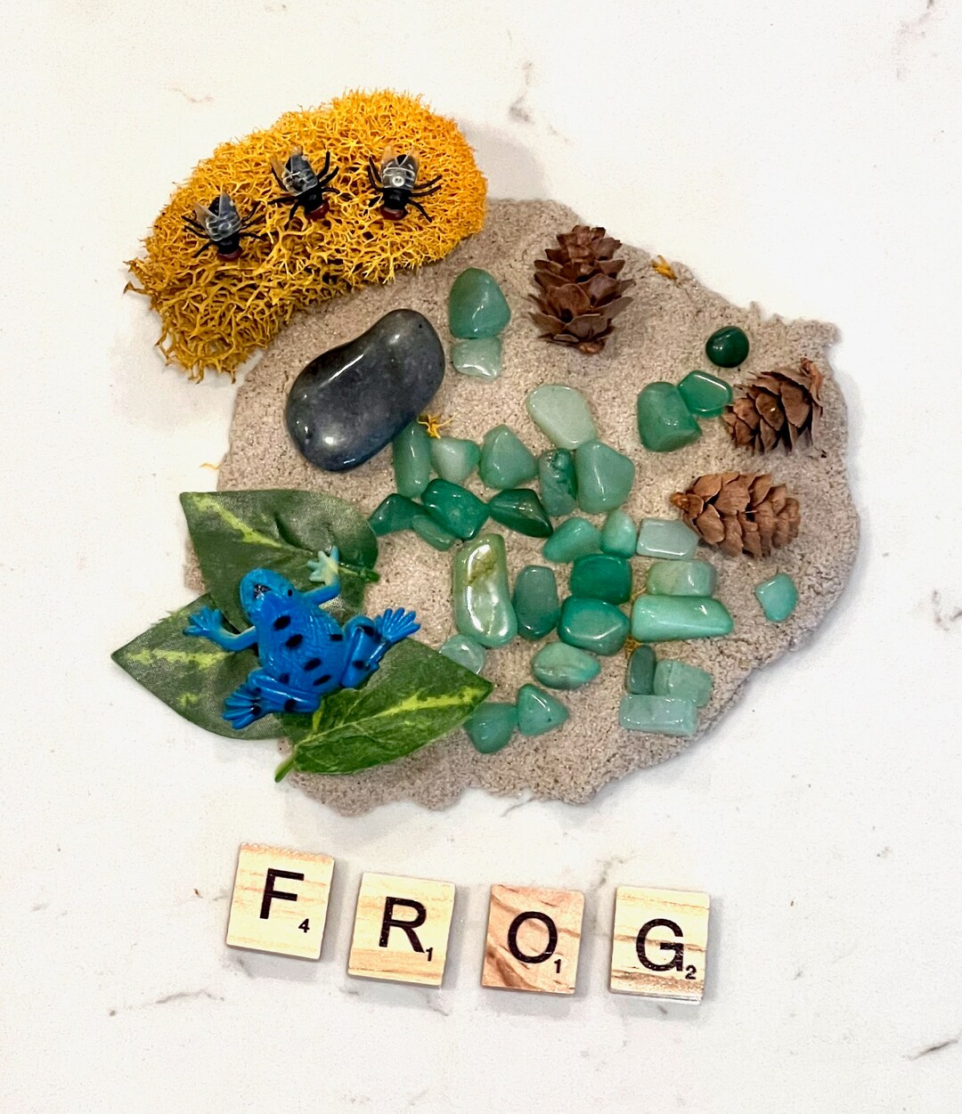 Frog Sensory Jars Kids Sensory Toys Birthday Party Favor - Etsy