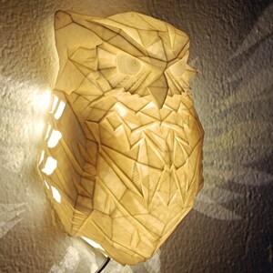 Owl Magic Lamp / Owl Wall Light / Decor Light Fixtures / Owl Night Light - Etsy