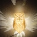 Owl Magic Lamp / Owl Wall Light / Decor Light Fixtures / Owl Night ...