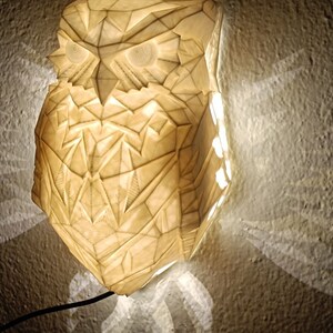 Owl Magic Lamp / Owl Wall Light / Decor Light Fixtures / Owl Night Light - Etsy