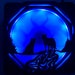 3 Pcs Two Wolf Fan Cover 3x Computer Gaming Fan Grill/cover/shroud ...