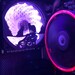 3 Pcs Two Wolf Fan Cover 3x Computer Gaming Fan Grill/cover/shroud ...